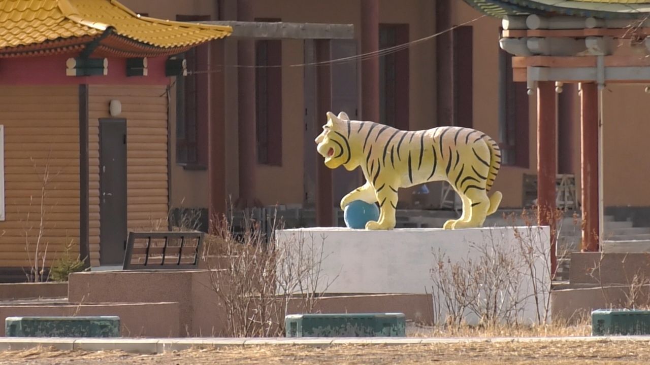 Зурхай на 10 июня: Как сегодня увеличить жизненные силы