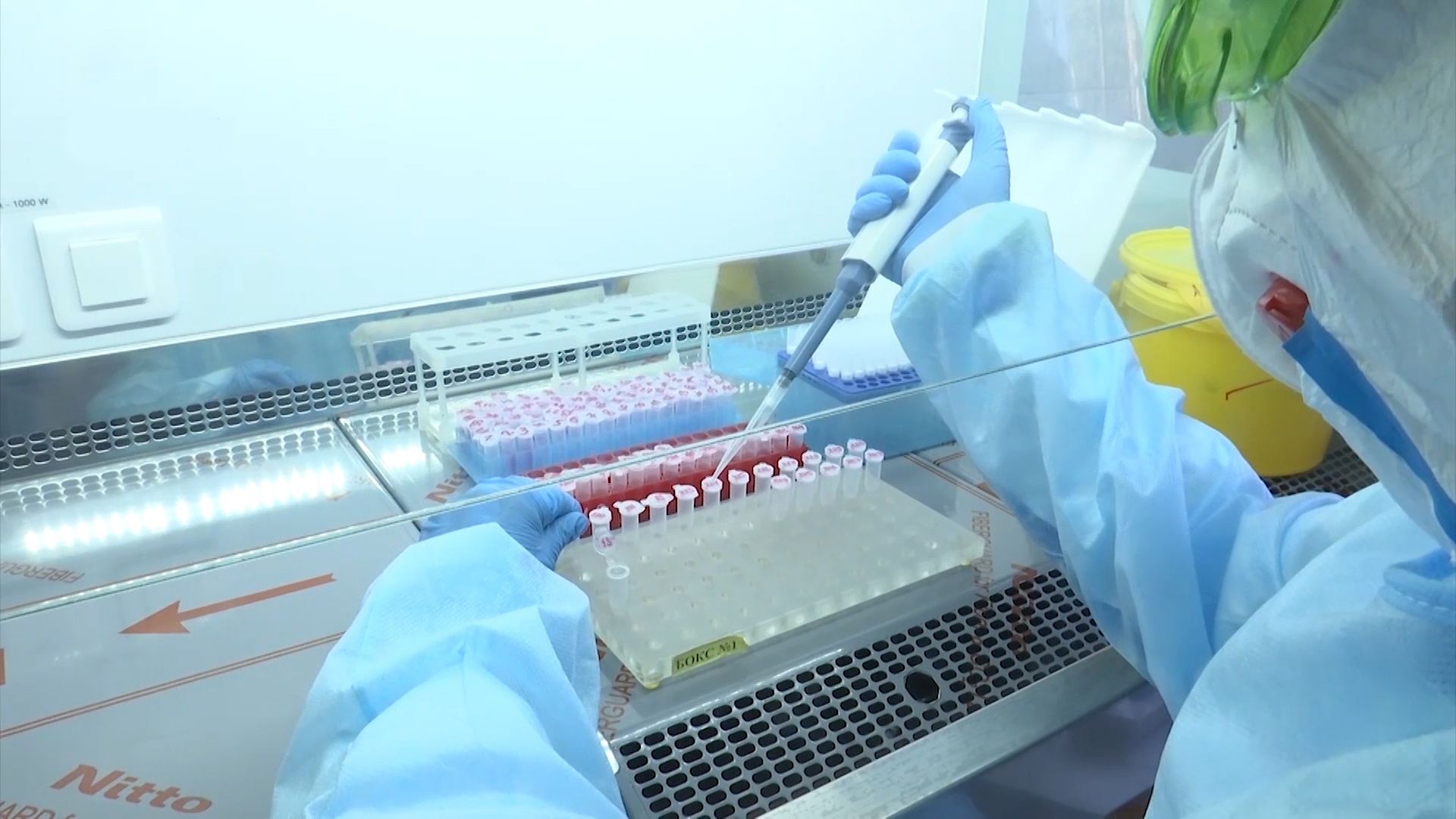 Свиной грипп вернулся в Бурятию