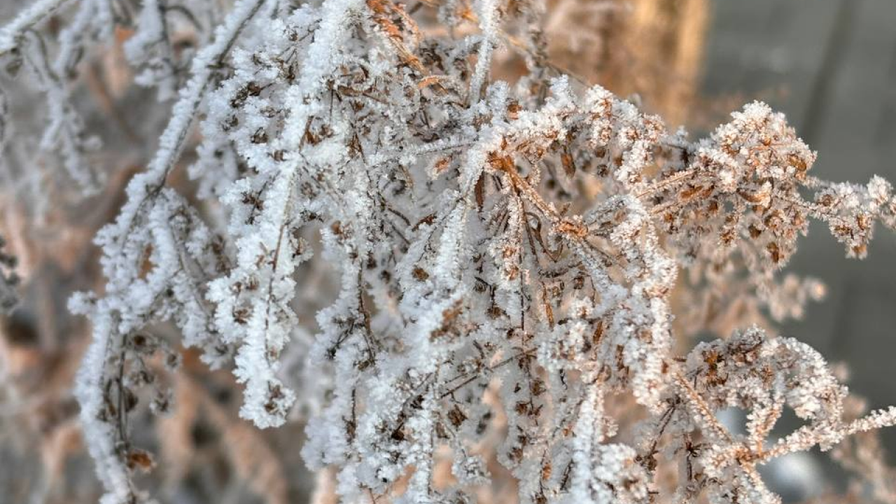 Переменную облачность прогнозируют синоптики в Бурятии